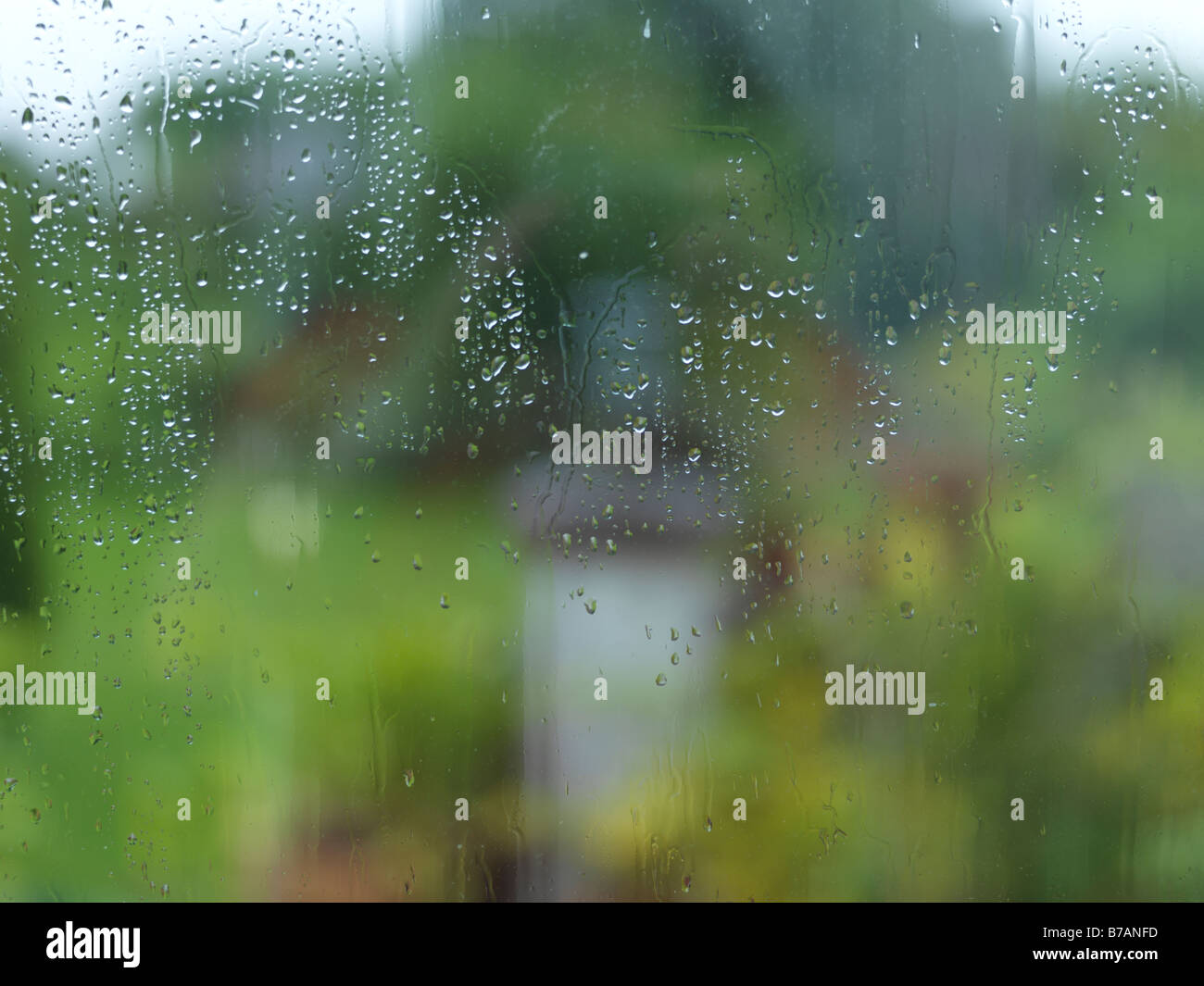 Rain garden england hi-res stock photography and images - Alamy
