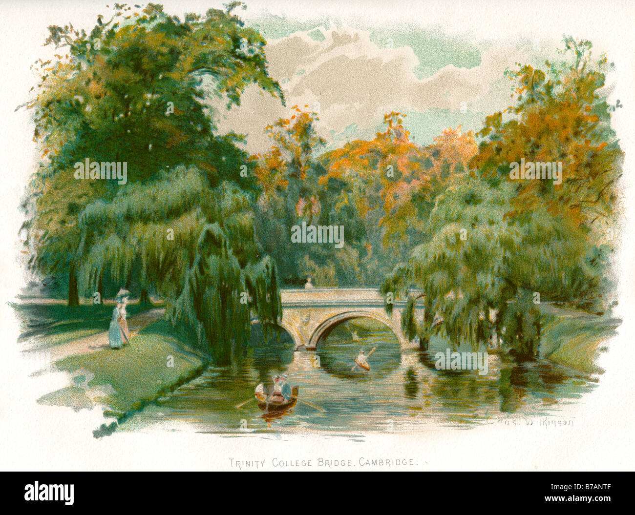 trinity college bridge cambridge rowing boat paddle grass lawn river ...