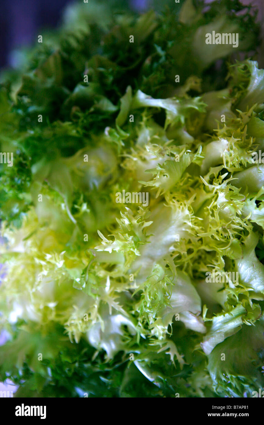 Lollo bianco hi-res stock photography and images - Alamy
