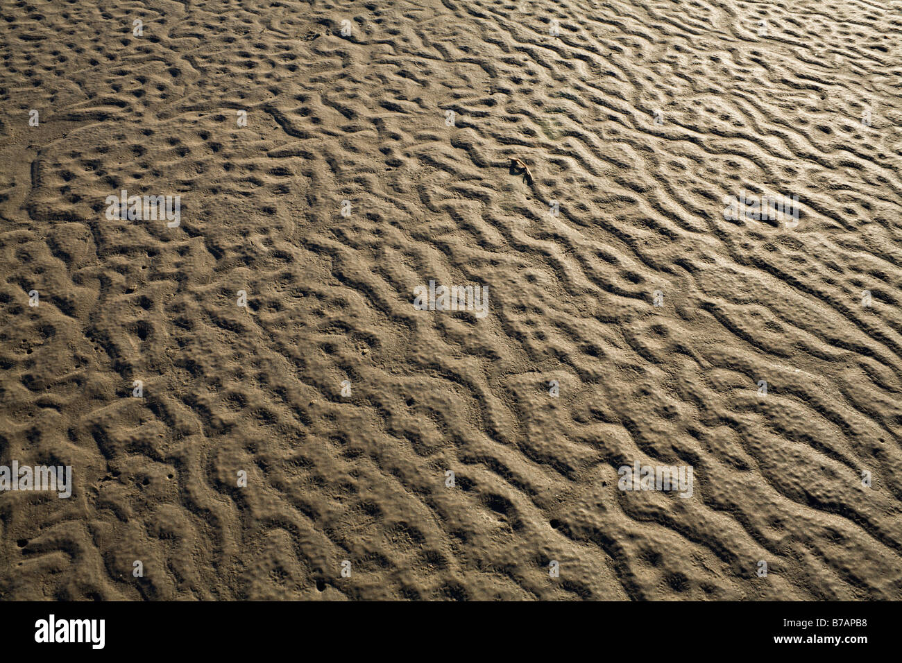 Dimple texture hi-res stock photography and images - Alamy