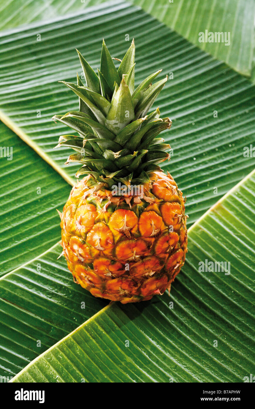 Pineapple banana hi-res stock photography and images - Alamy