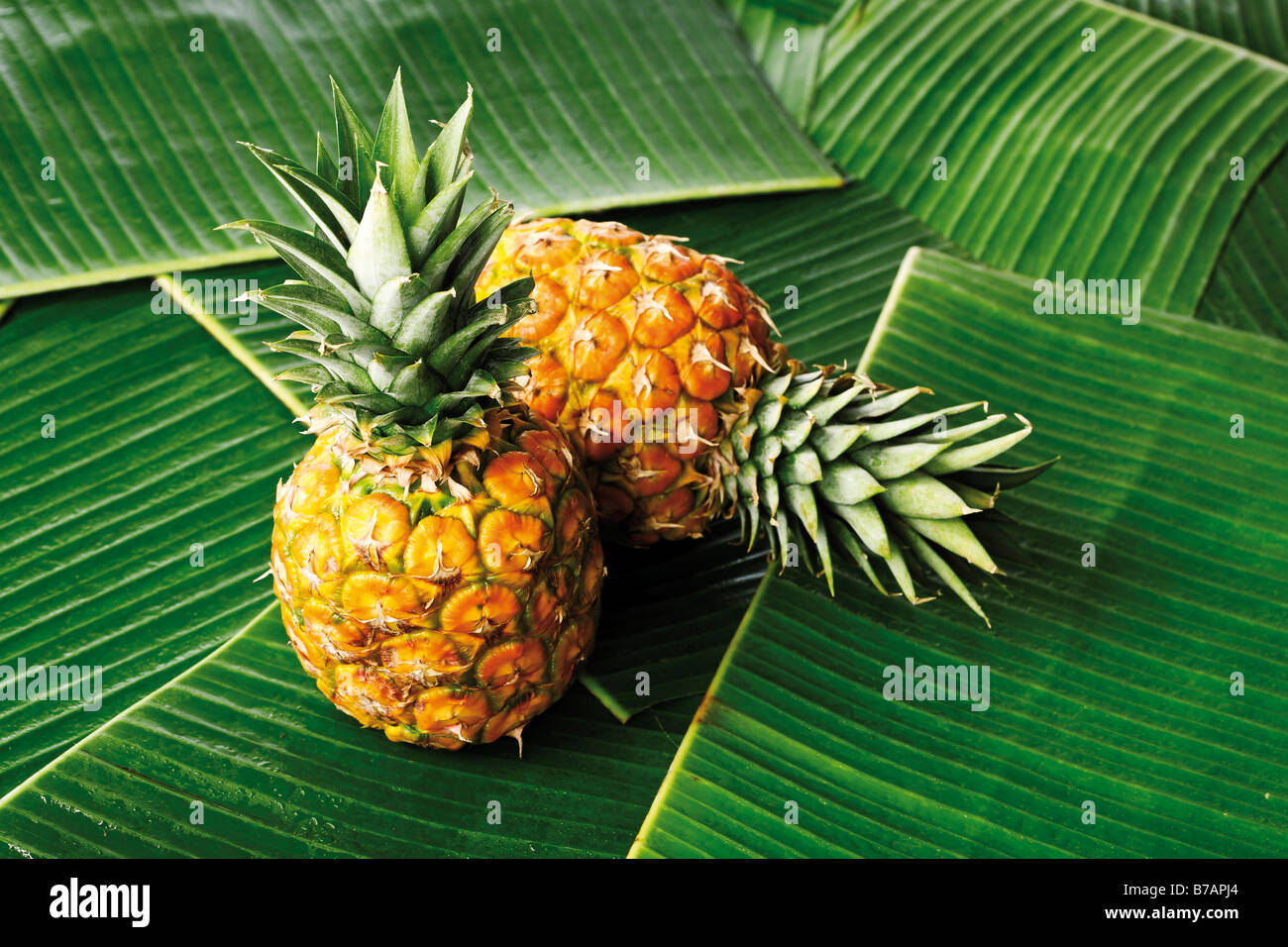 Baby bananas hi-res stock photography and images - Alamy