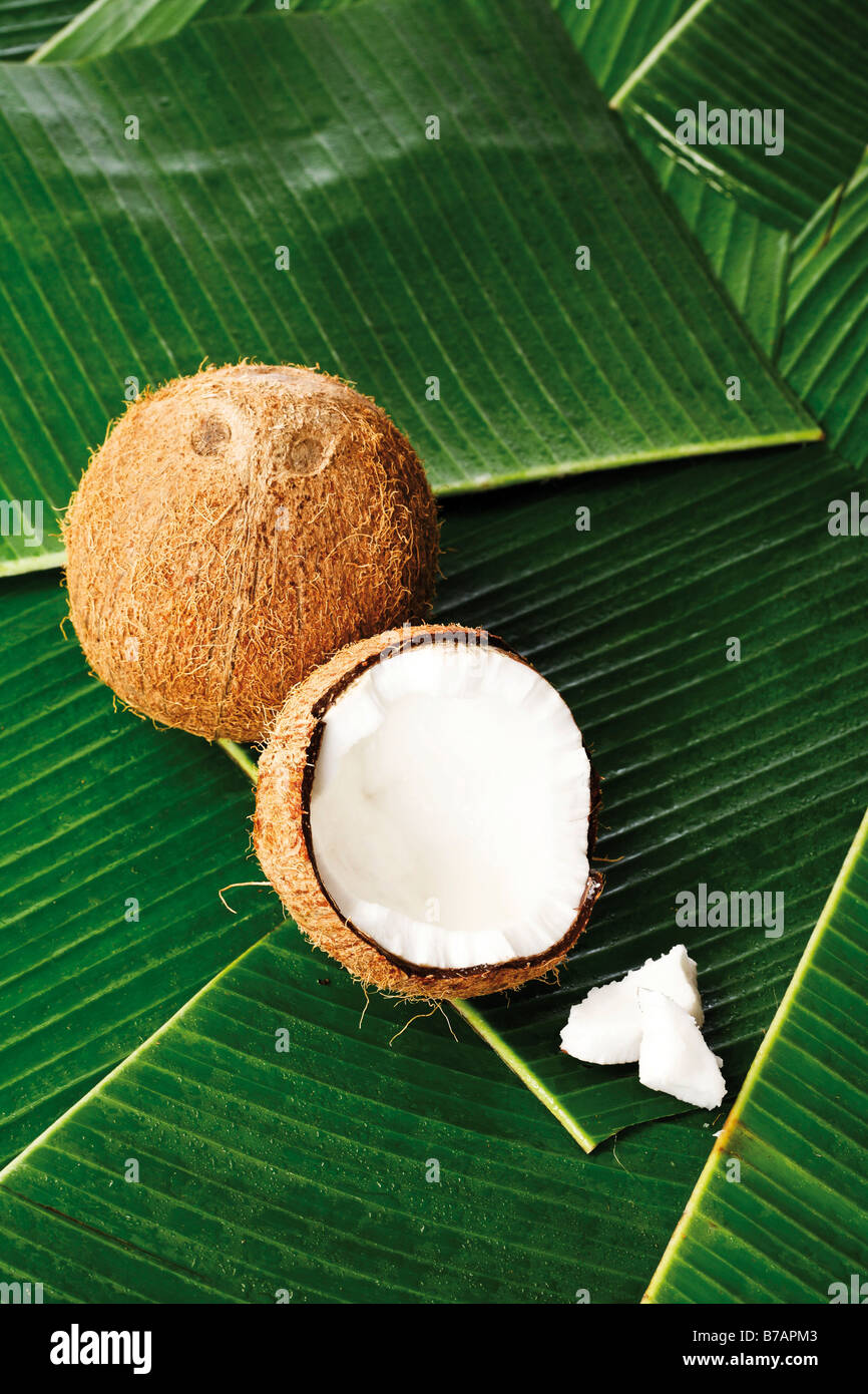 Cocos coconut hi-res stock photography and images - Alamy