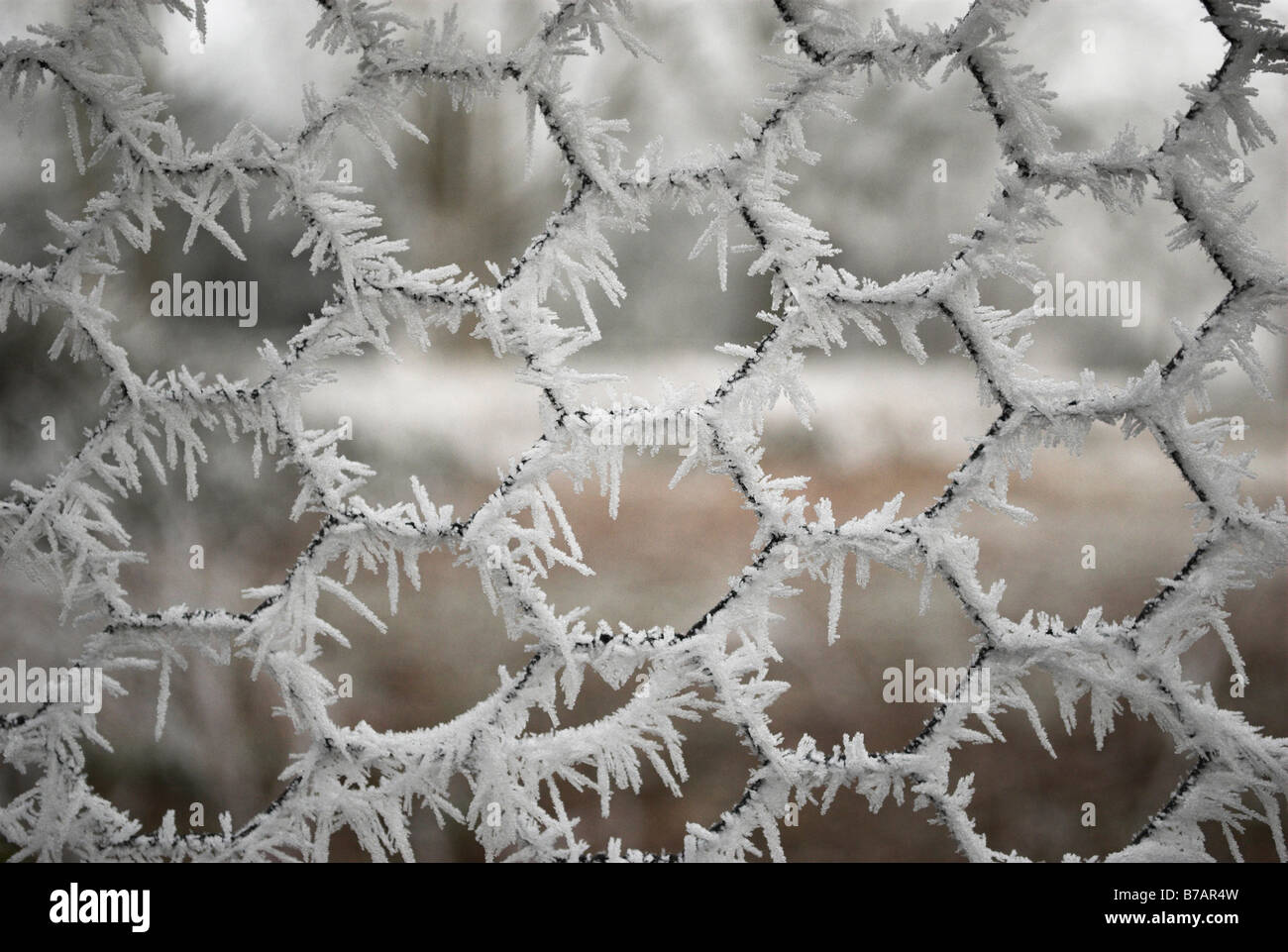 Frost particles hi-res stock photography and images - Alamy