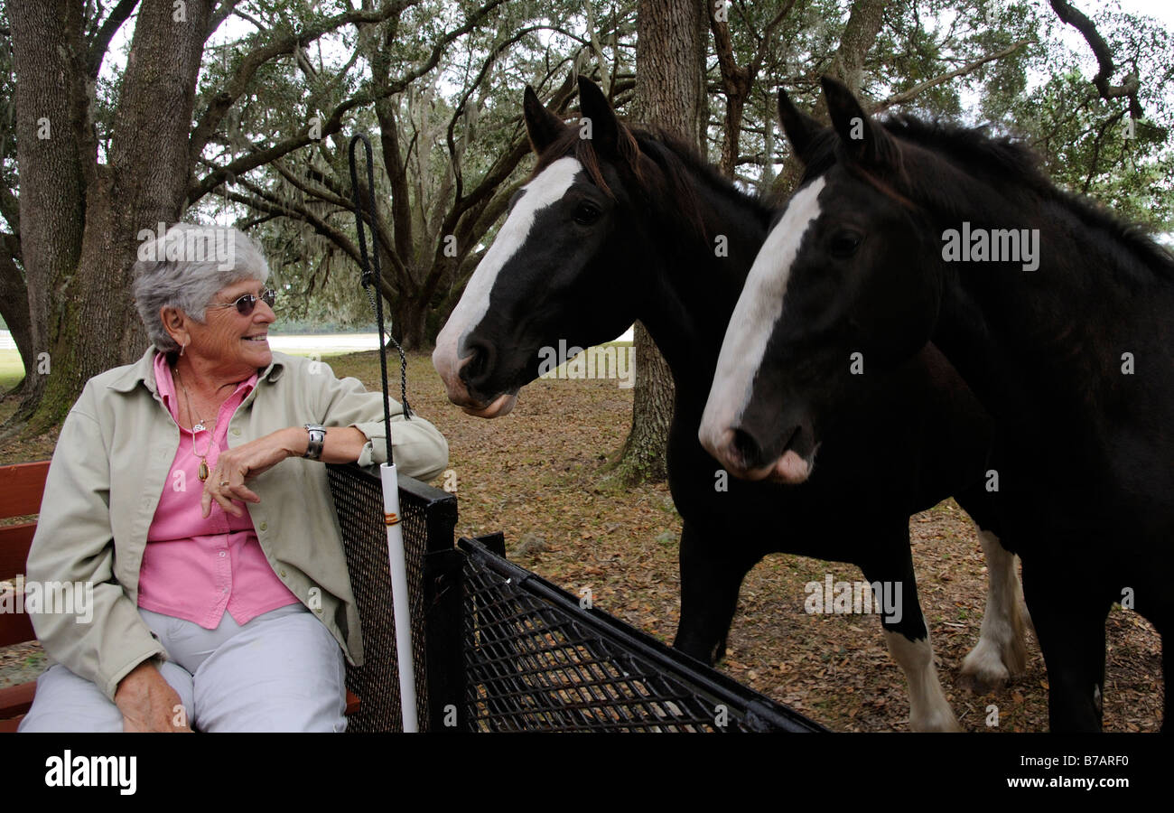 Tractor trailer ride hi-res stock photography and images - Alamy