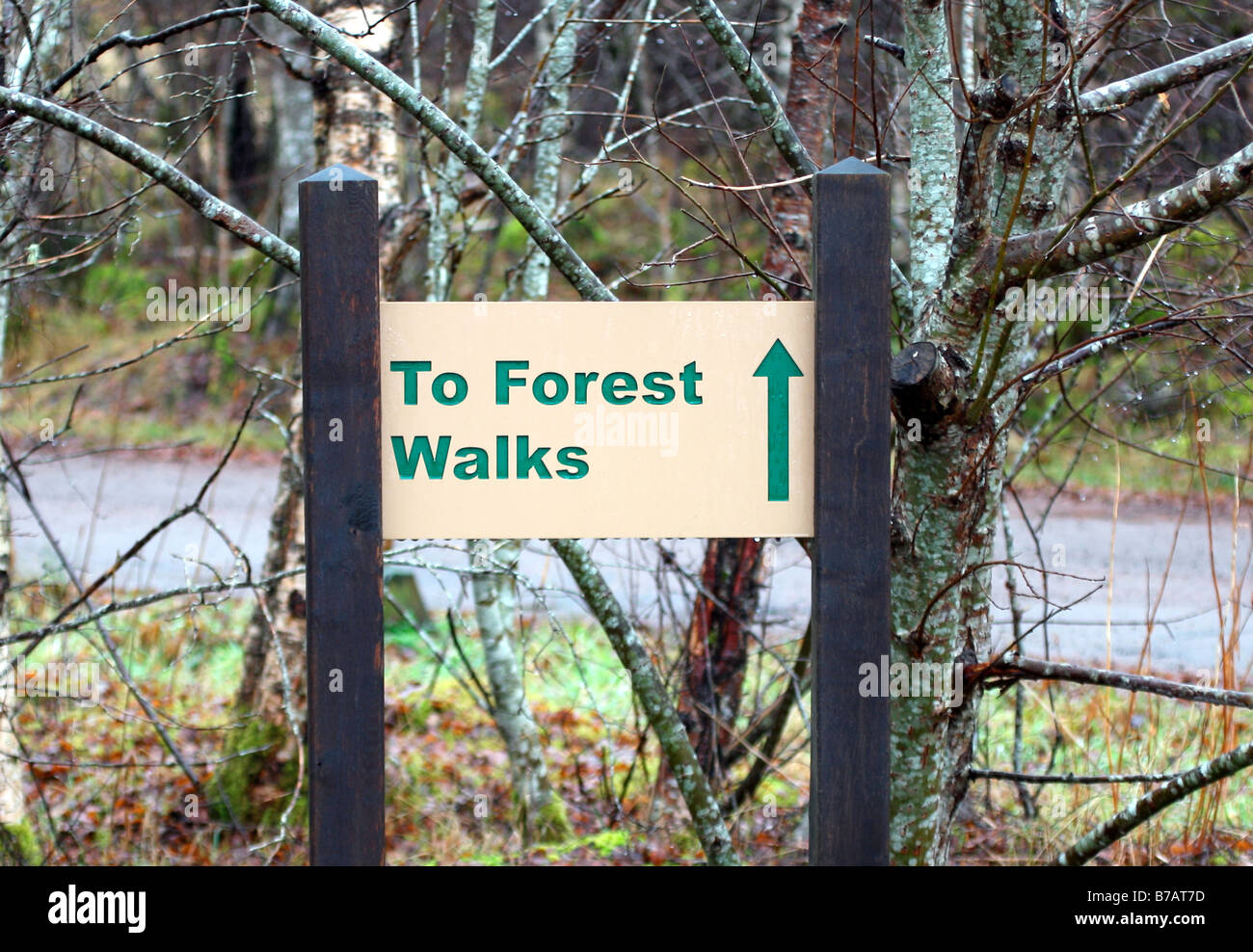 Forest Walks sign Stock Photo - Alamy