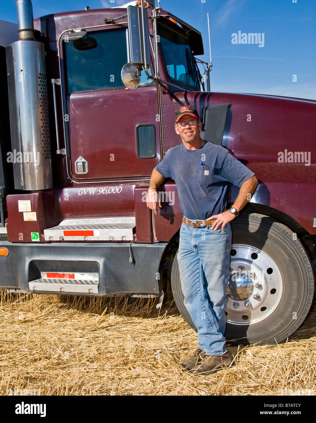 A grain truck driver with his truck during harvest in the Palouse ...