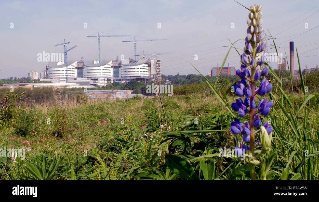 The new Queen Elizabeth Hospital, Edgbaston, Birmingham under ...