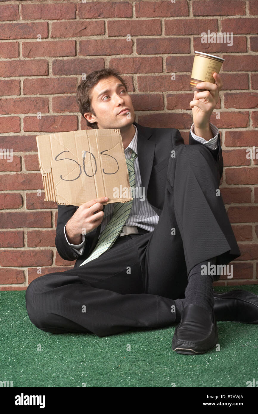 Male Sitting Up And Begging High Resolution Stock Photography and ...