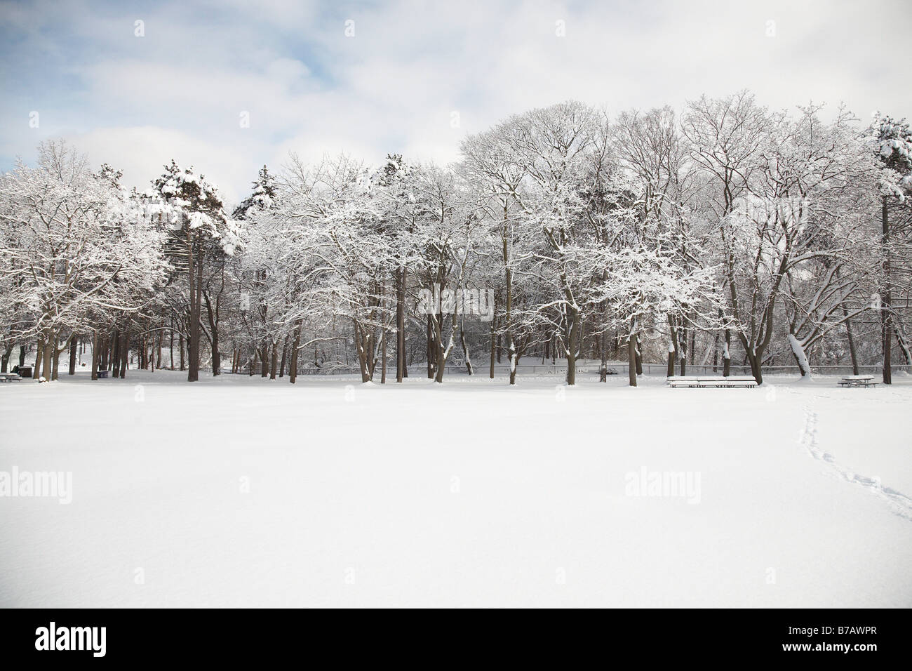 Ontario Winter Landscape High Resolution Stock Photography and Images ...