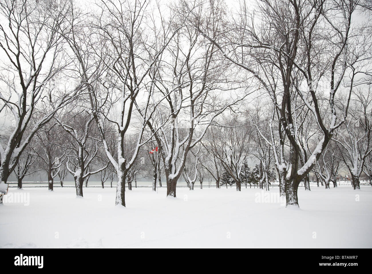 Toronto Canada Snow High Resolution Stock Photography and Images - Alamy