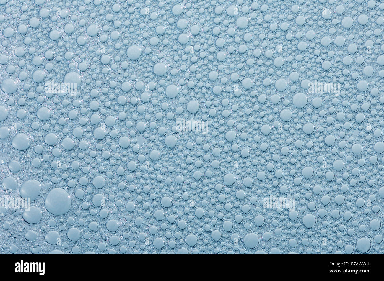 Foam Bubbles on Water's Surface Stock Photo - Alamy