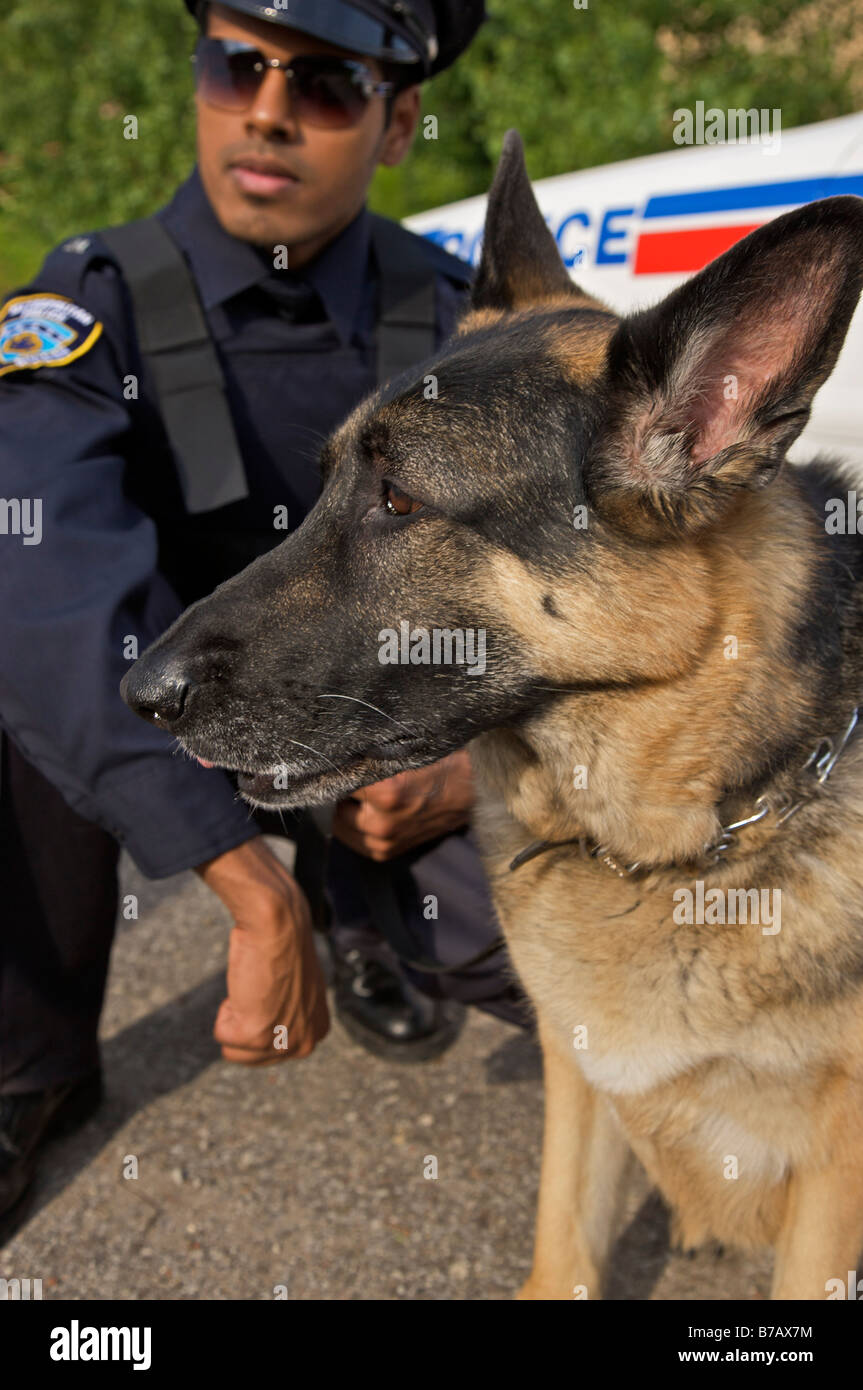 Portrait of Police Officer With Police Dog Stock Photo - Alamy