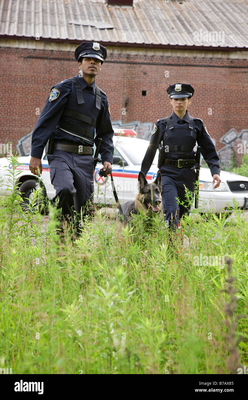 Officer searching car with dog hi-res stock photography and images - Alamy