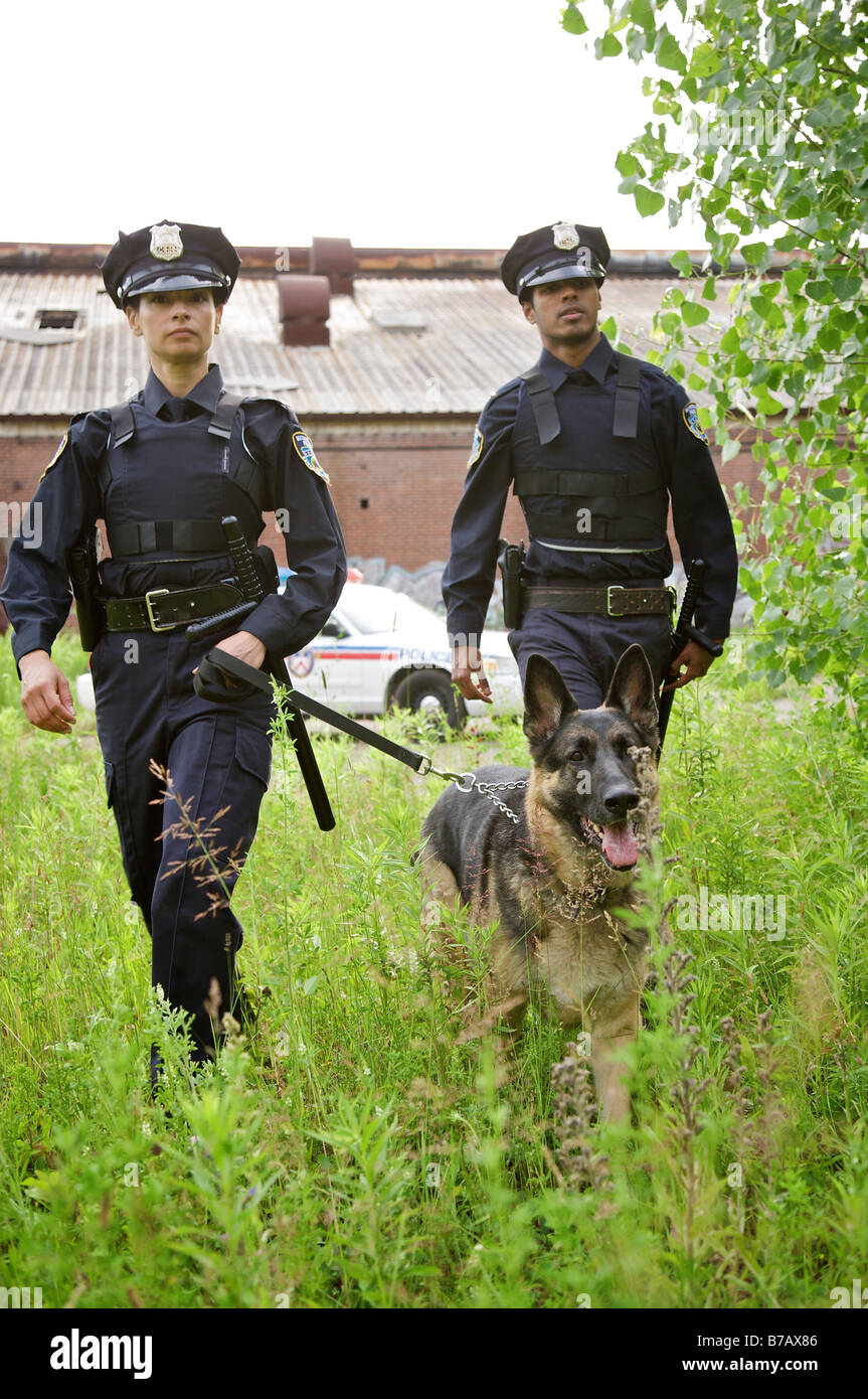 Police Officers Searching Field With Police Dog Stock Photo - Alamy