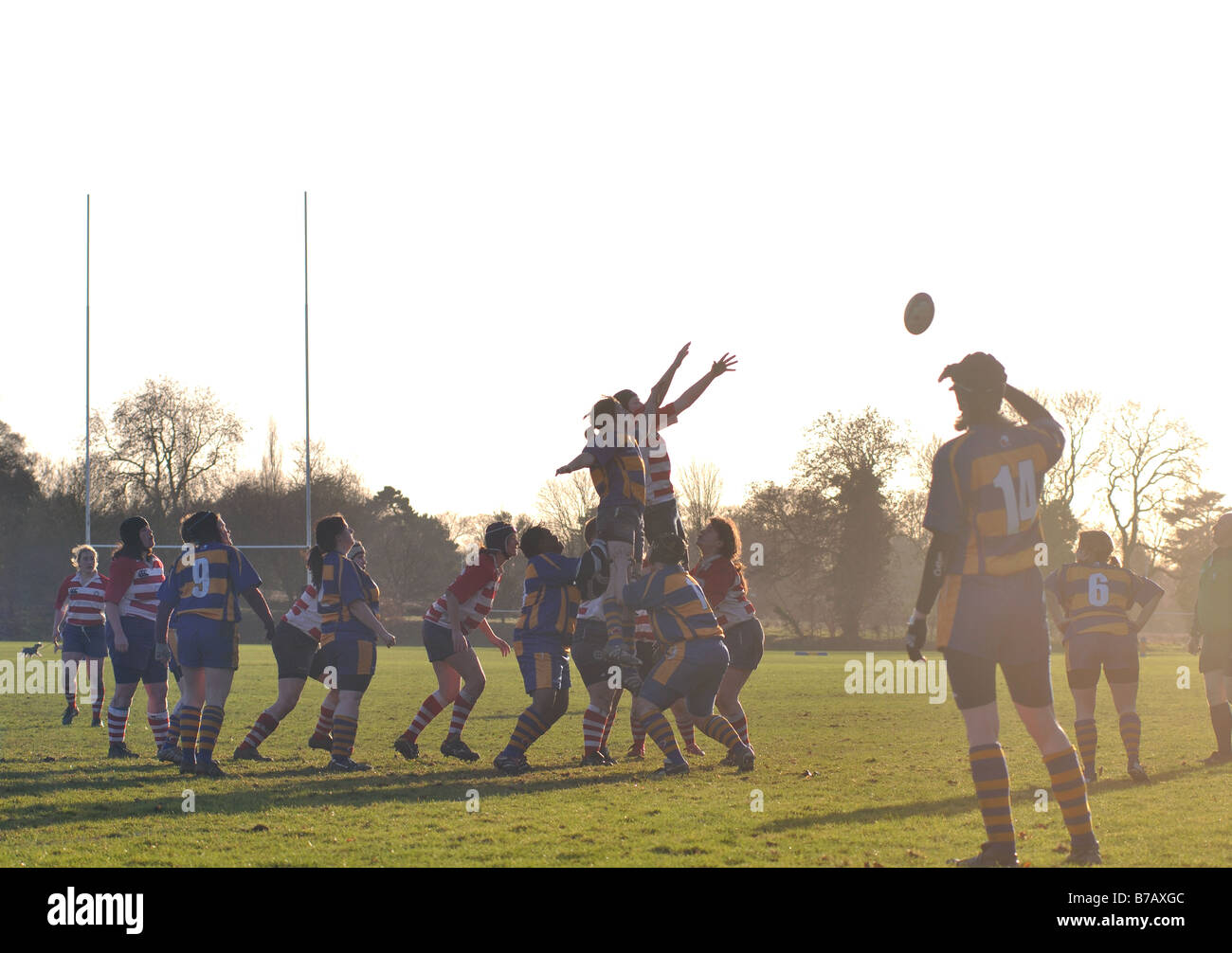 Women rugby lineout hi-res stock photography and images - Alamy