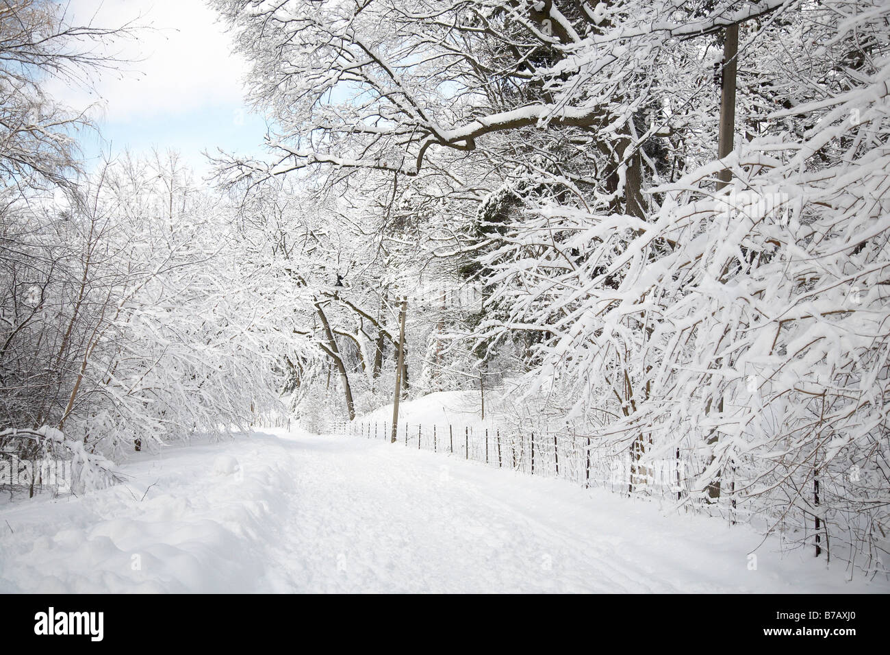 Ontario Winter Landscape High Resolution Stock Photography and Images ...