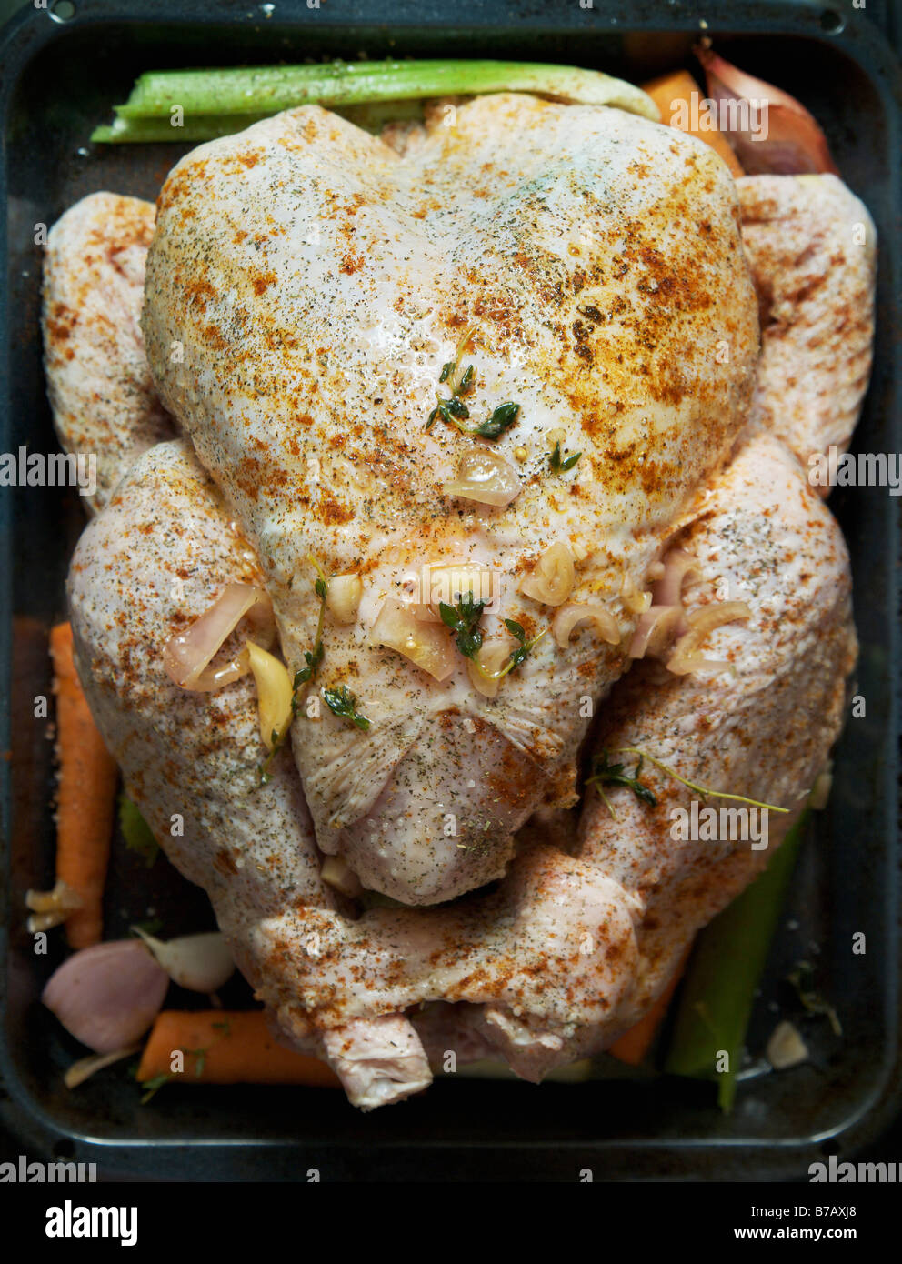 Raw Thanksgiving Day Turkey Stock Photo - Alamy