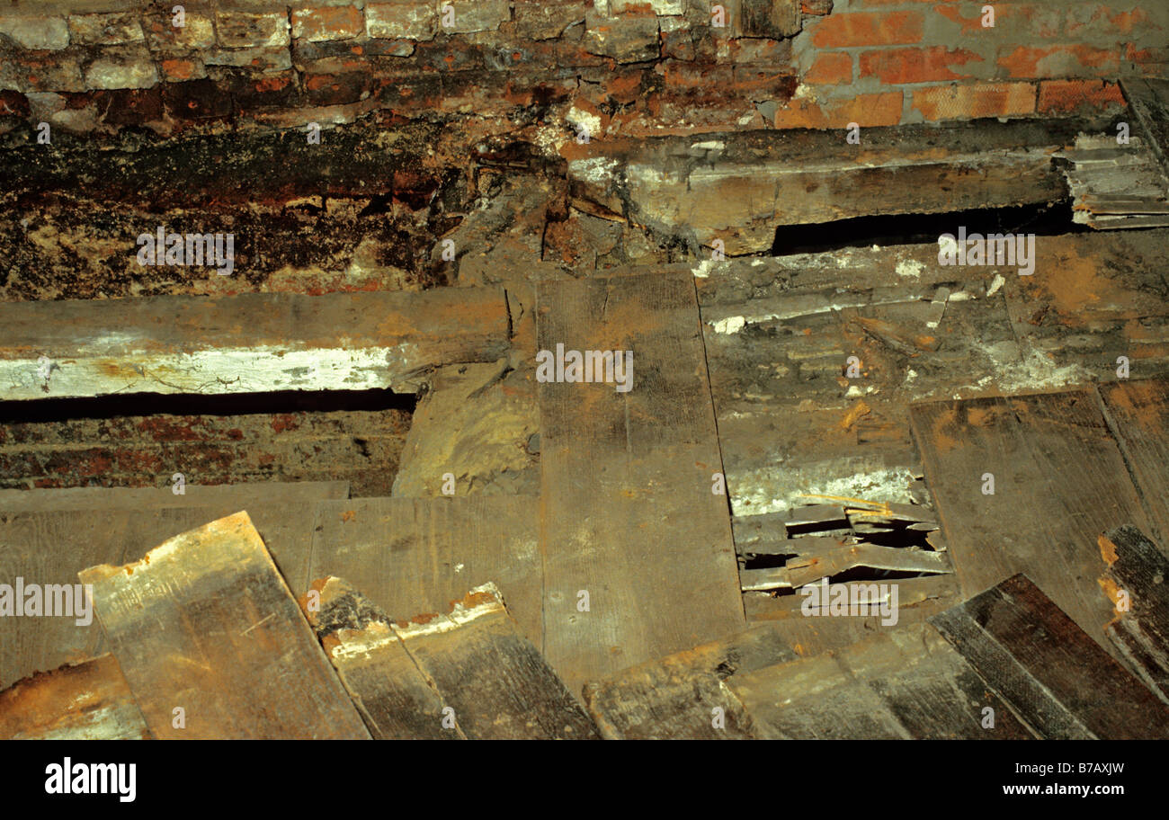 Wet Rot - Coniophora cerebella (Cellar Rot) affection woodwork in old ...