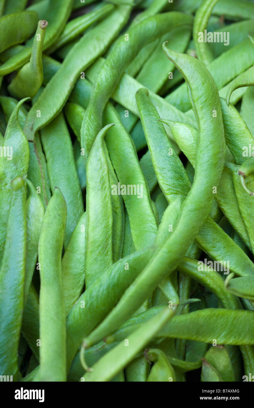 Organic Runner Beans Stock Photo - Alamy