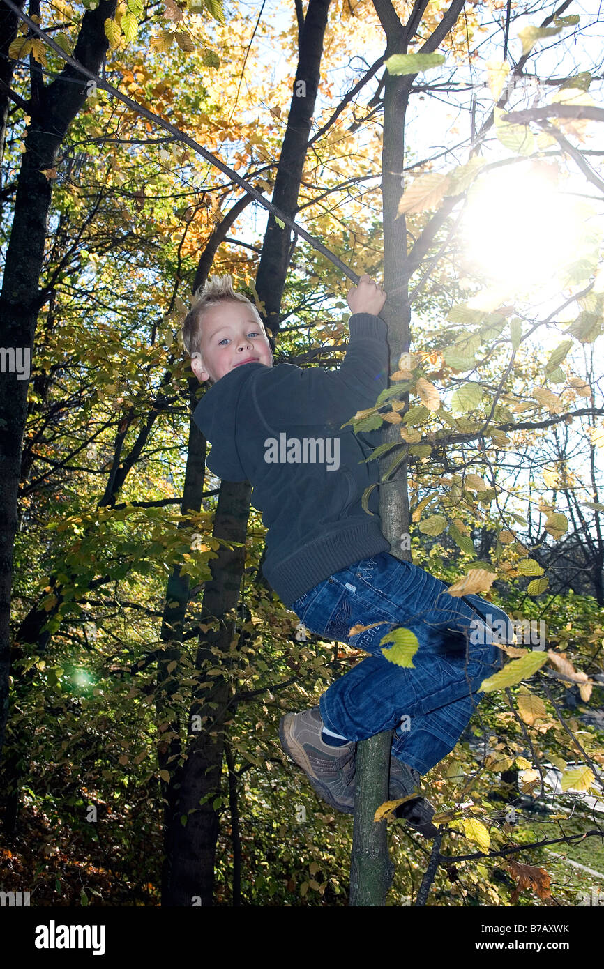 Boy Look Up At Tree High Resolution Stock Photography and Images - Alamy