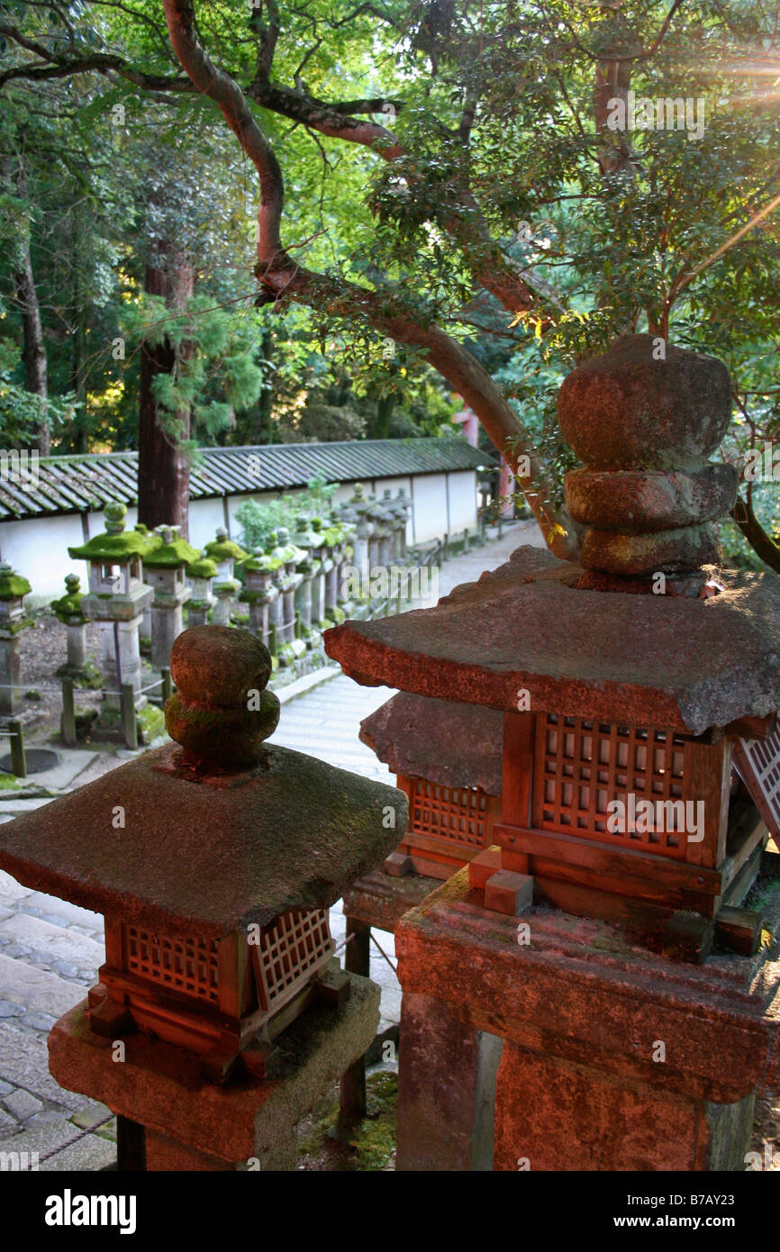 Japanese stone lanterns, reflecting orange glow of shinto shrine from ...