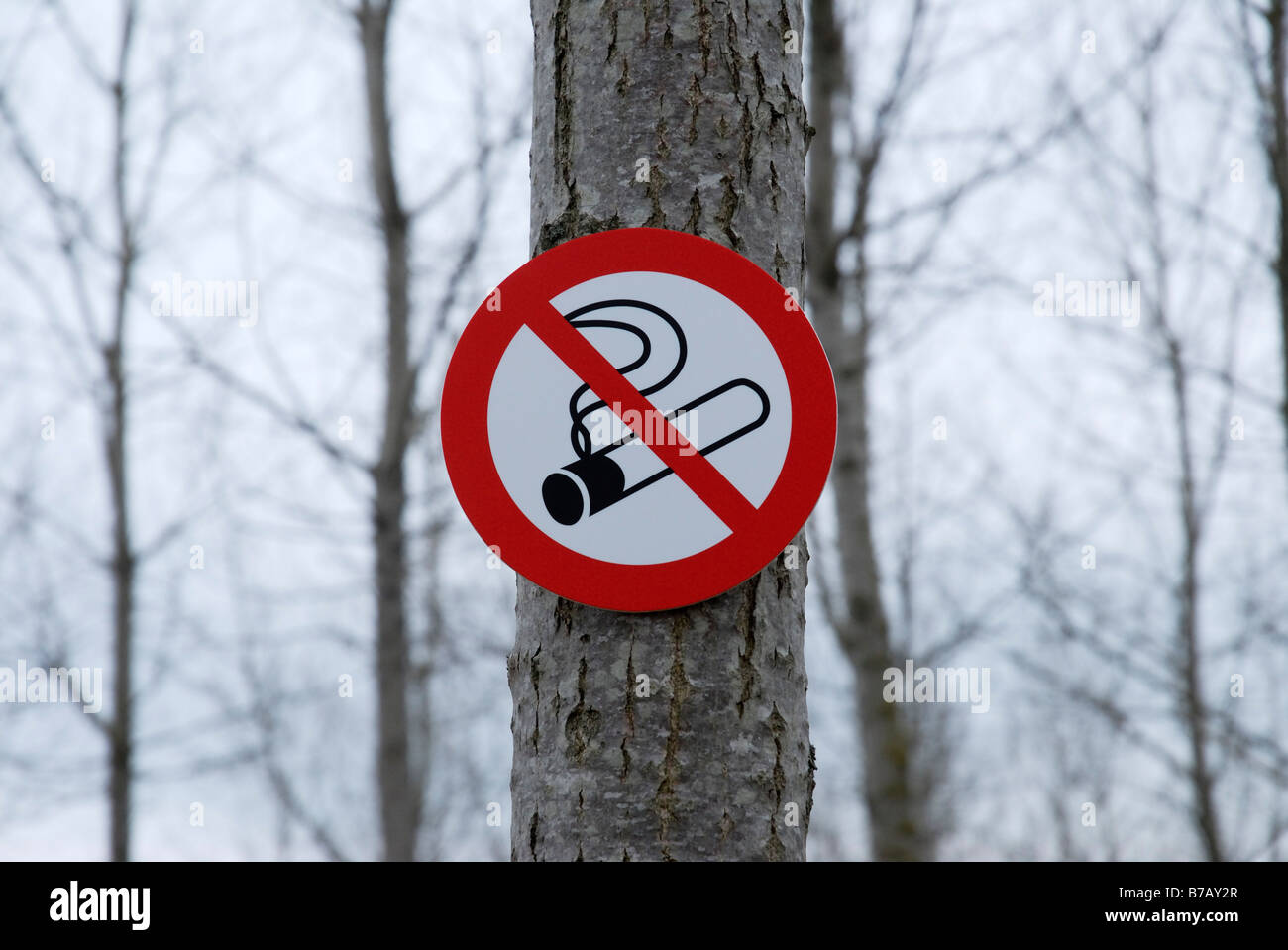 No Smoking Sign Attached to Tree Trunk Stock Photo - Alamy