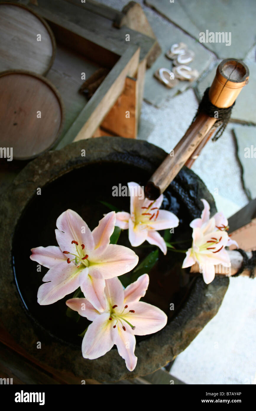 Lilies in water, with two pairs of traditional Japanese sandals in the ...