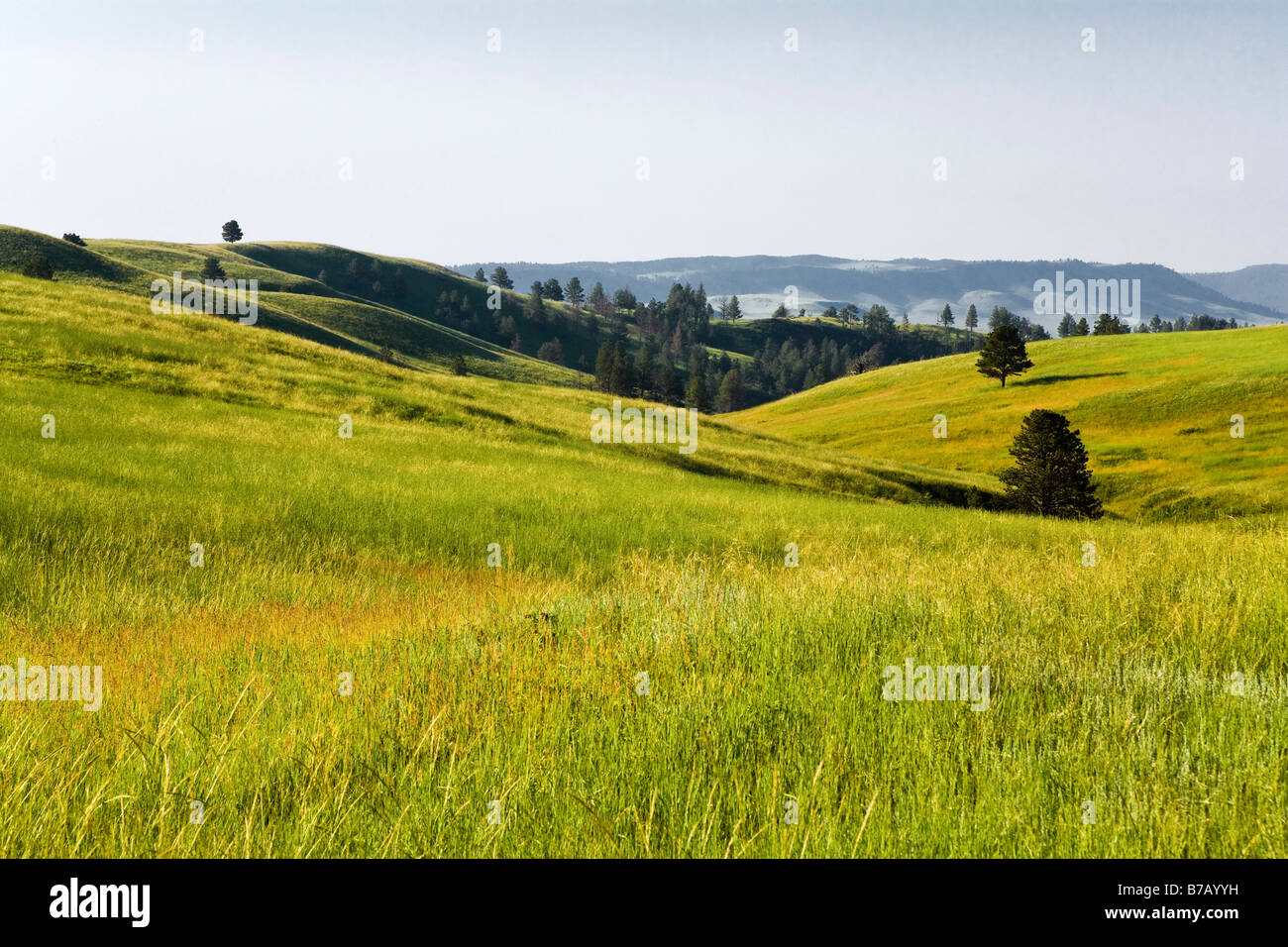 Long valley south dakota hi-res stock photography and images - Alamy