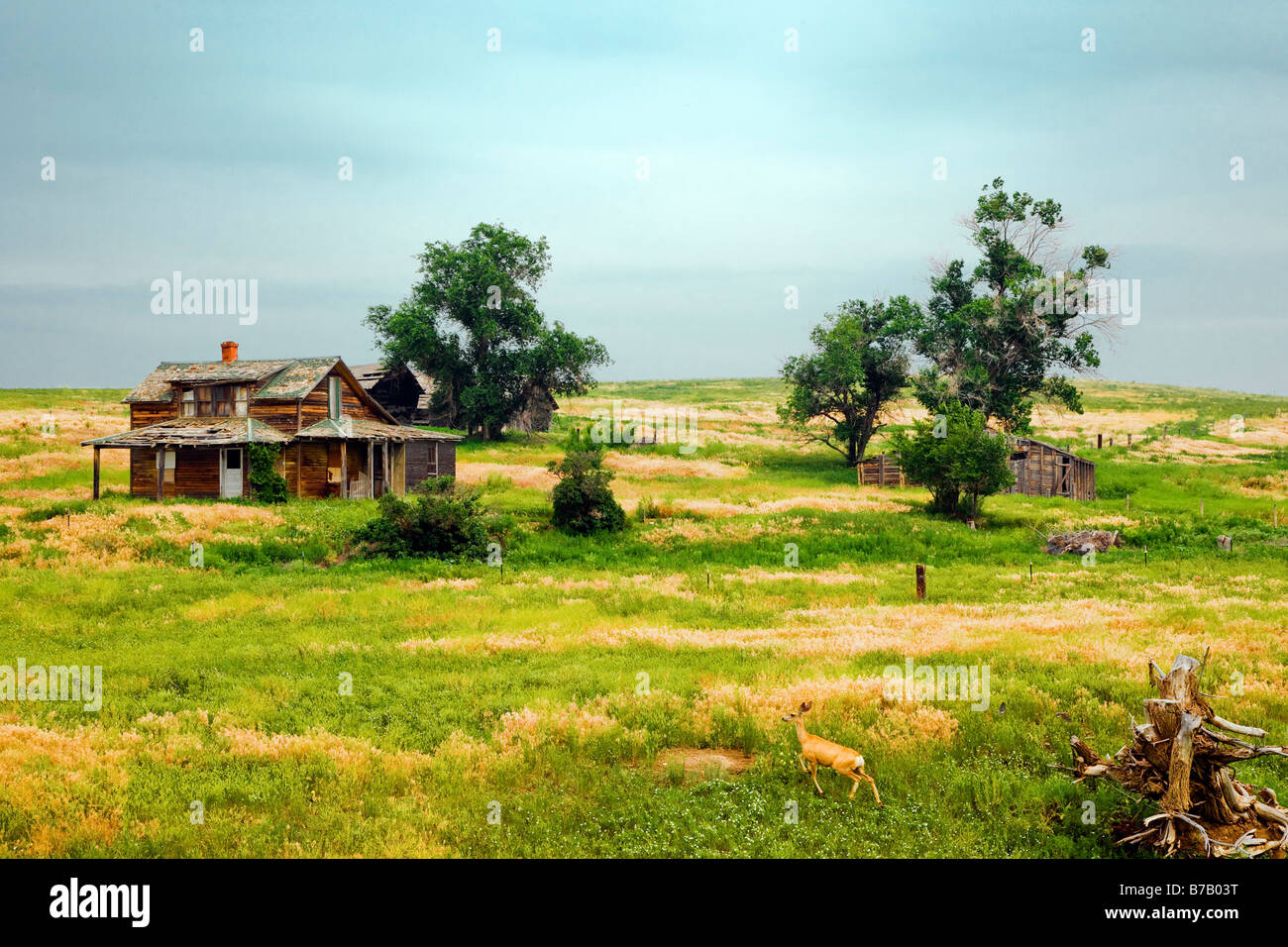 Old House, Badlands, South Dakota, USA Stock Photo - Alamy