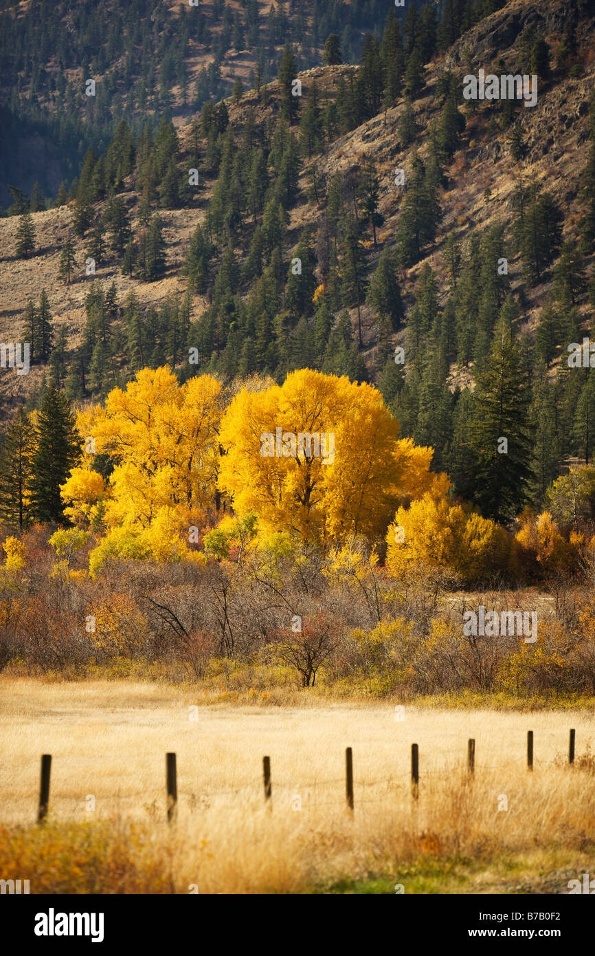 Princeton british columbia hi-res stock photography and images - Alamy