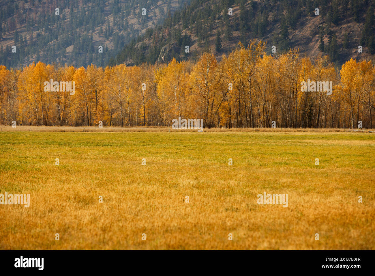 Princeton bc canada hi-res stock photography and images - Alamy