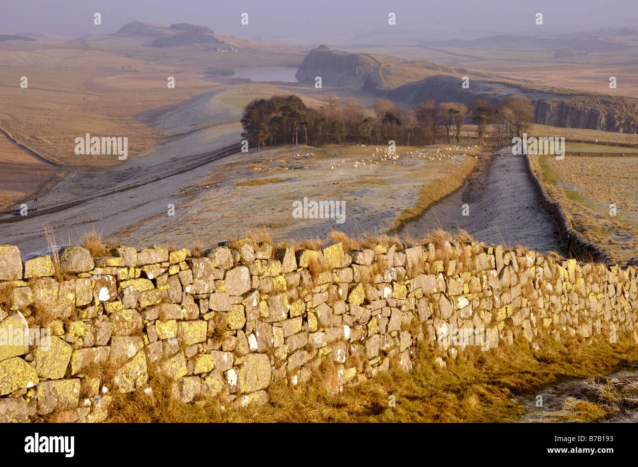 Hadrian's wall, Steel Rigg Northumberland, England Stock Photo - Alamy