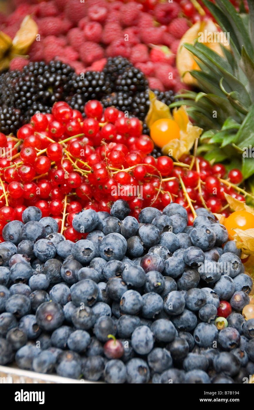 Variety of fruit hi-res stock photography and images - Alamy