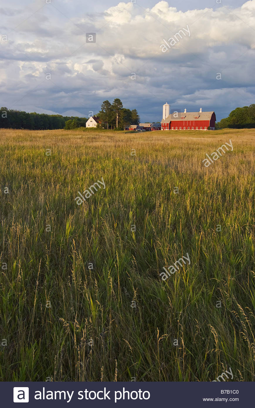 Wheat Field Barn Farm Stock Photos & Wheat Field Barn Farm Stock Images ...