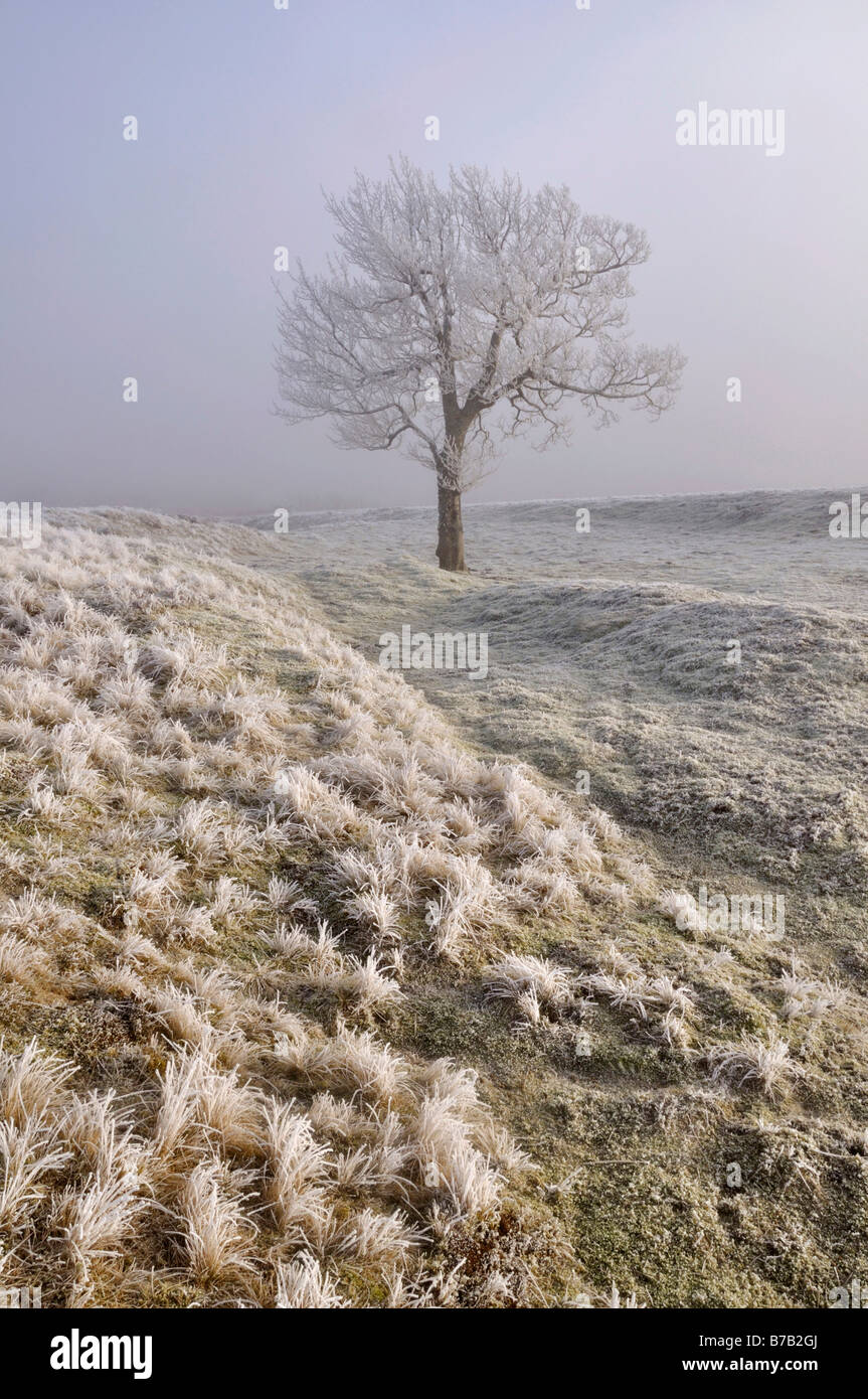 Near stanhope hi-res stock photography and images - Alamy