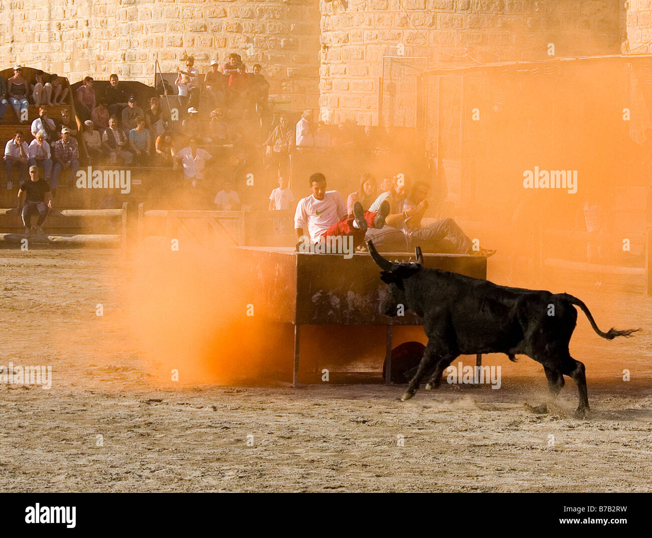 Bull charging metal safety area, where young men clamber in bull ring ...