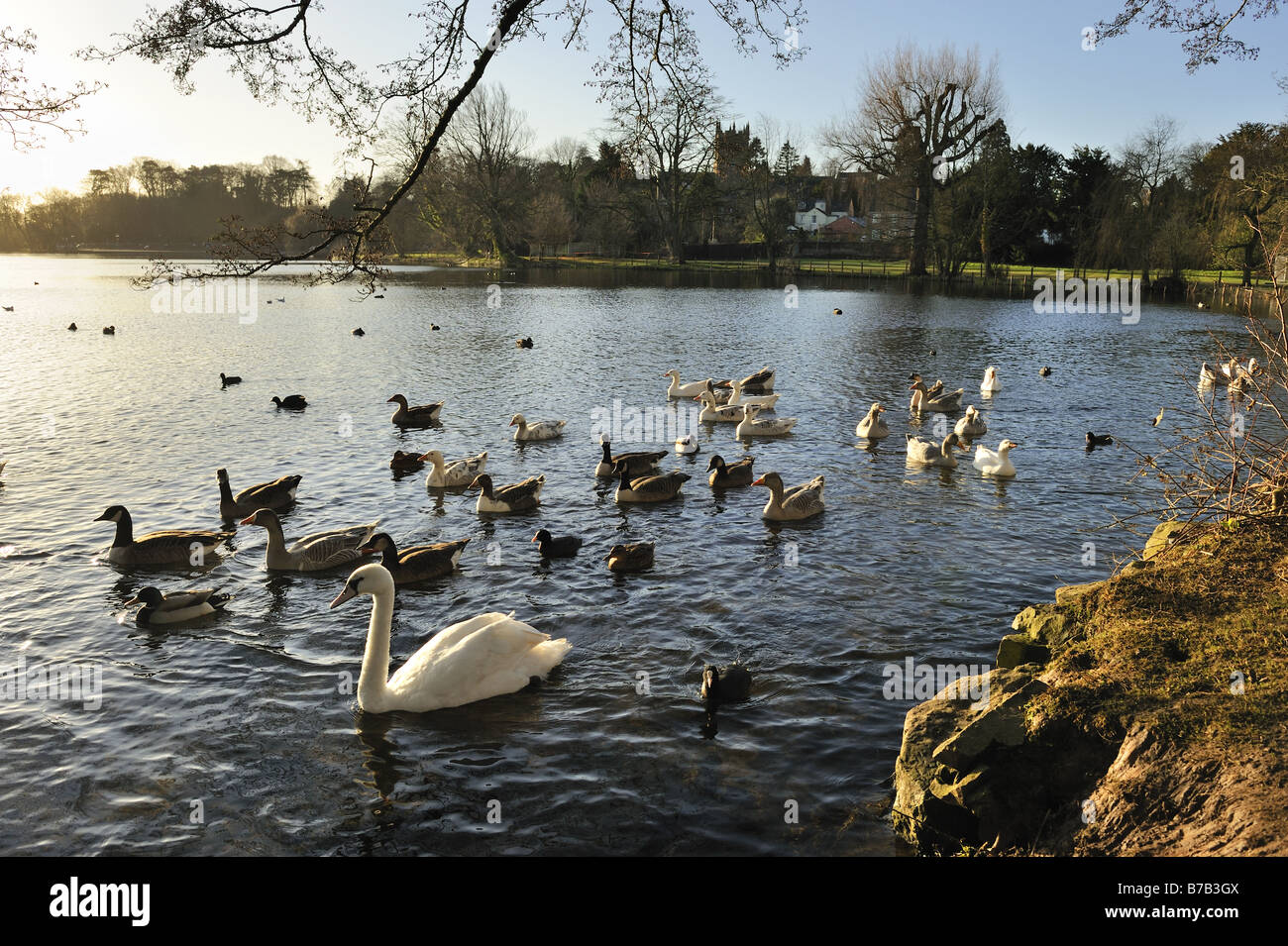 Ellesmere shropshire lake hi-res stock photography and images - Alamy