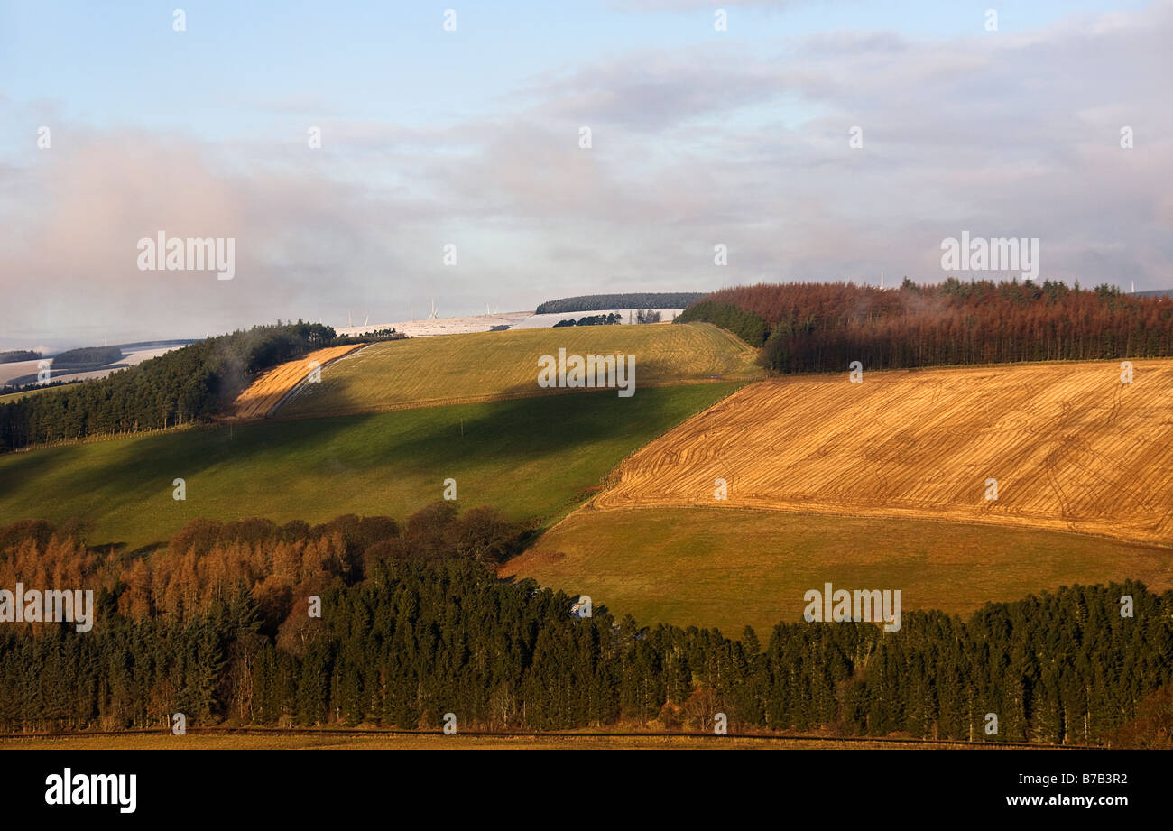 Low clouds hi-res stock photography and images - Alamy