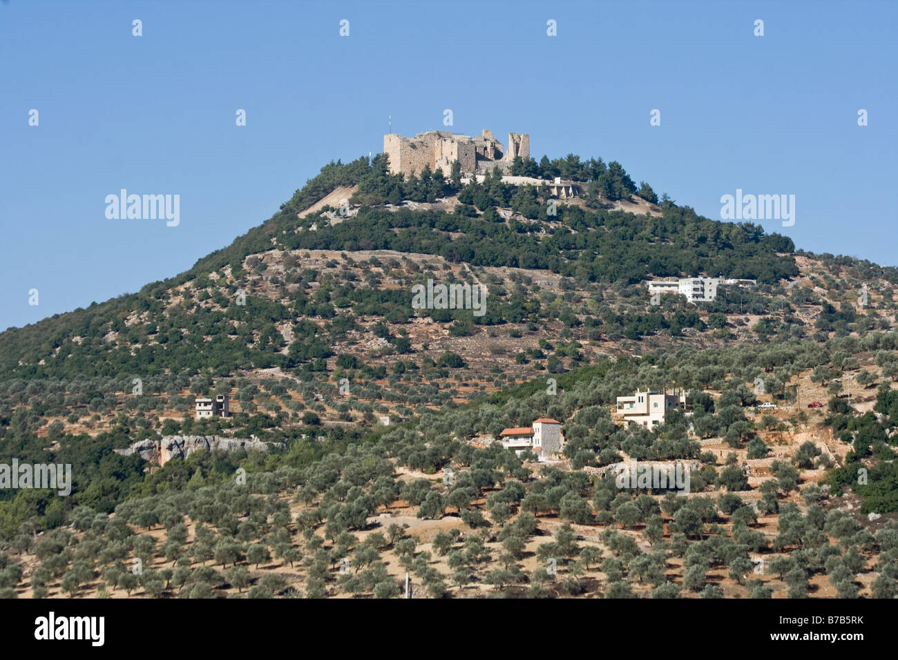 Ajloun Castle in Jordan Stock Photo - Alamy