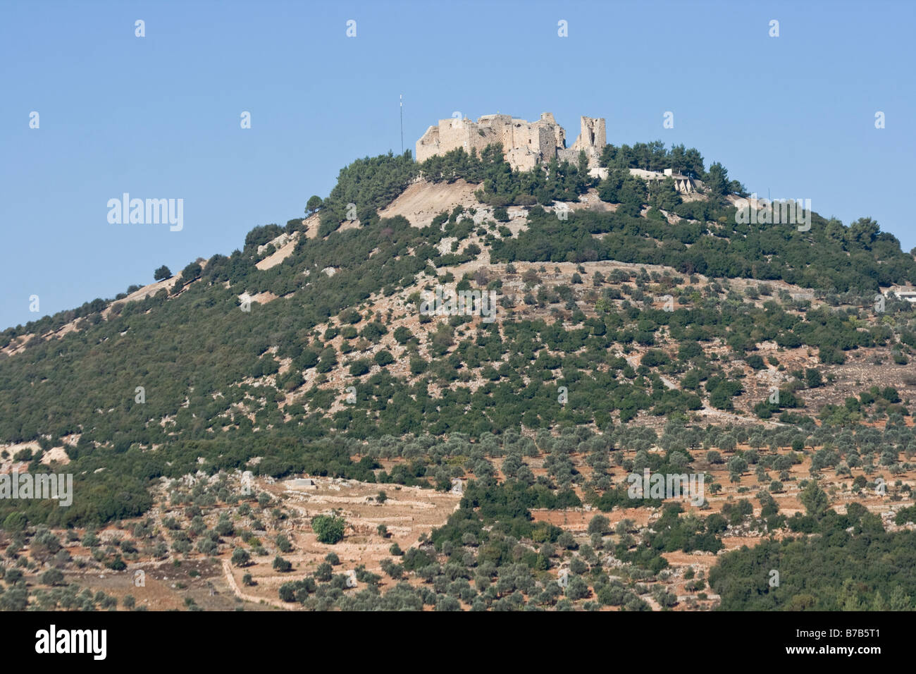 Ajloun Castle in Jordan Stock Photo - Alamy