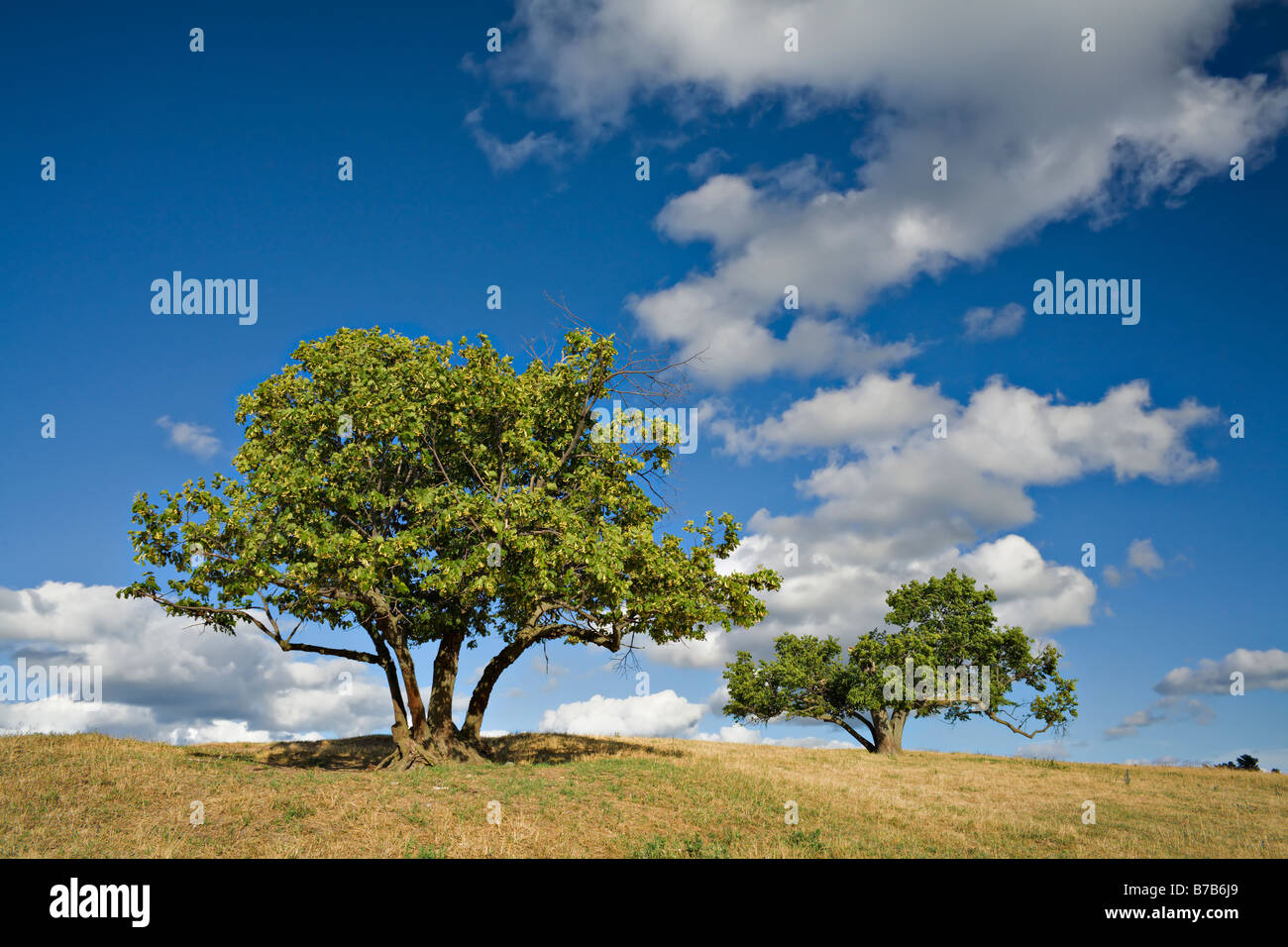 Durham region ontario hi-res stock photography and images - Alamy