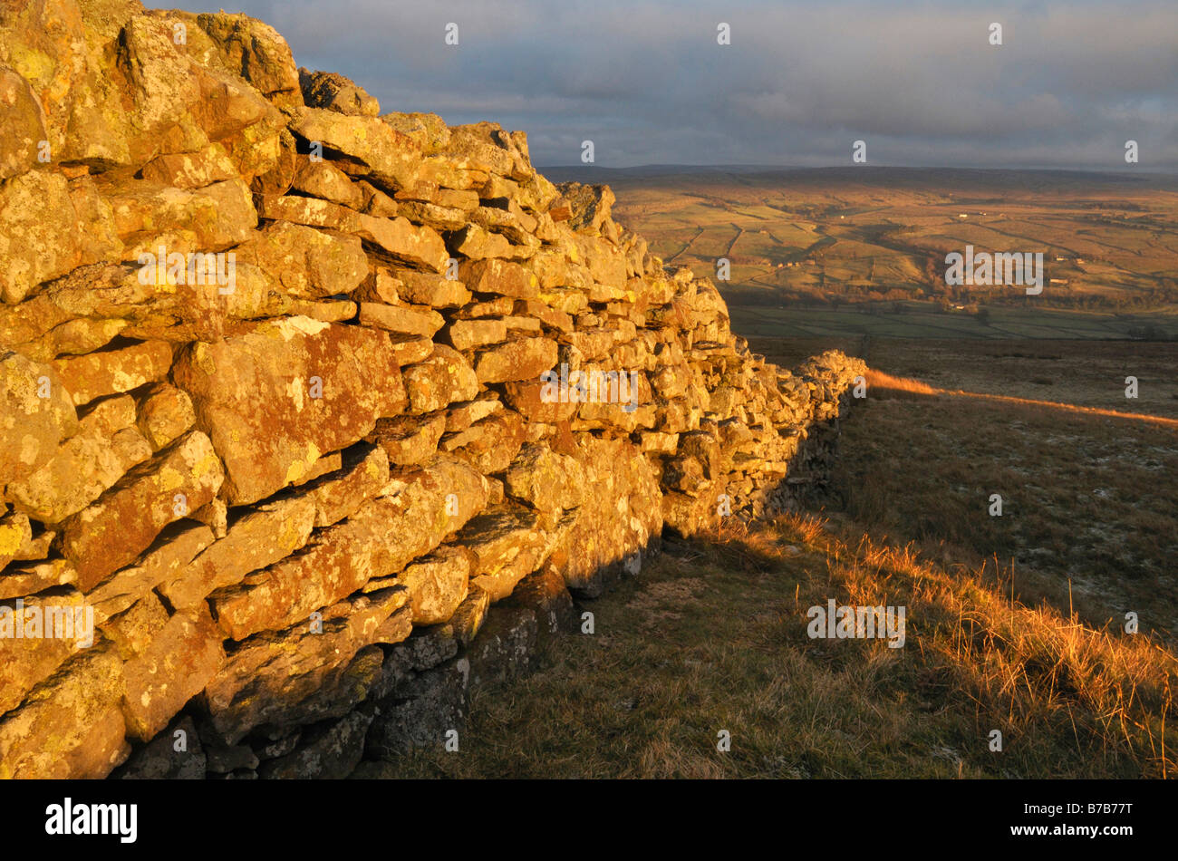 Evening light on stone wall Park fell North Pennines, England Stock ...