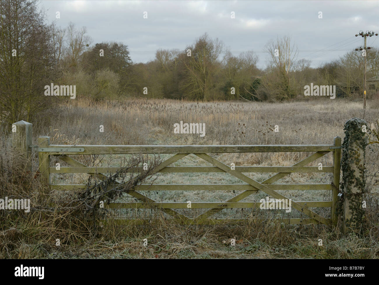 December winter rural countryside landscape scene showing a paddock ...
