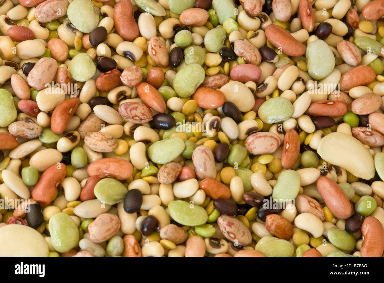an assortment of beans Stock Photo - Alamy