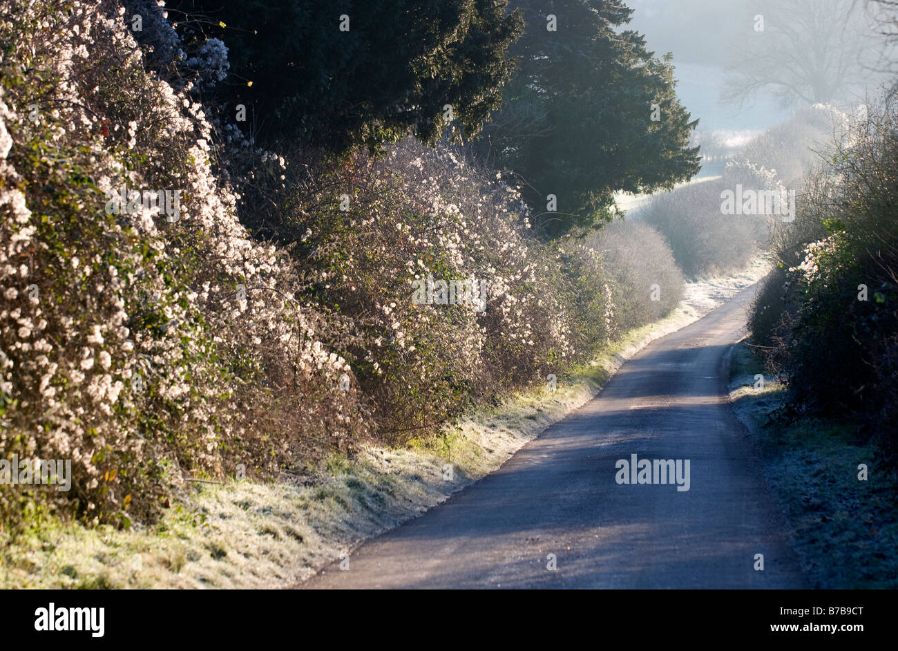 Old frosty lane hi-res stock photography and images - Alamy