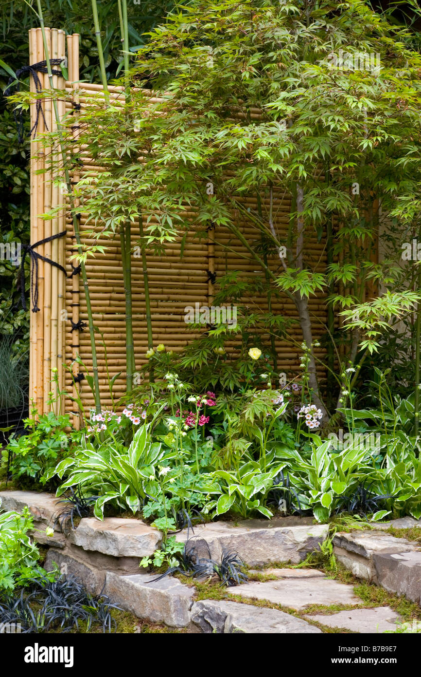Courtyard with bamboo hi-res stock photography and images - Alamy