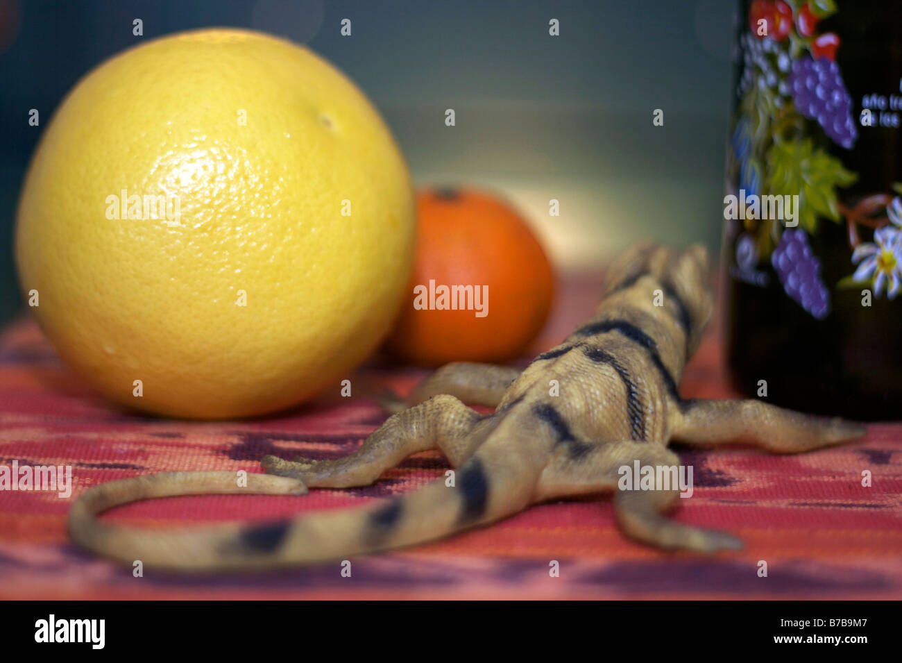 Still life rubber lizard close to a glass bottle and citrus fruits ...