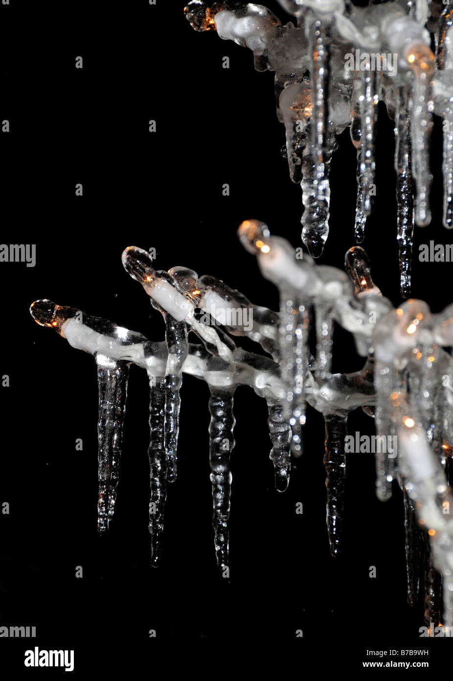 An outdoor Christmas tree is covered with ice and icicles. USA Stock ...