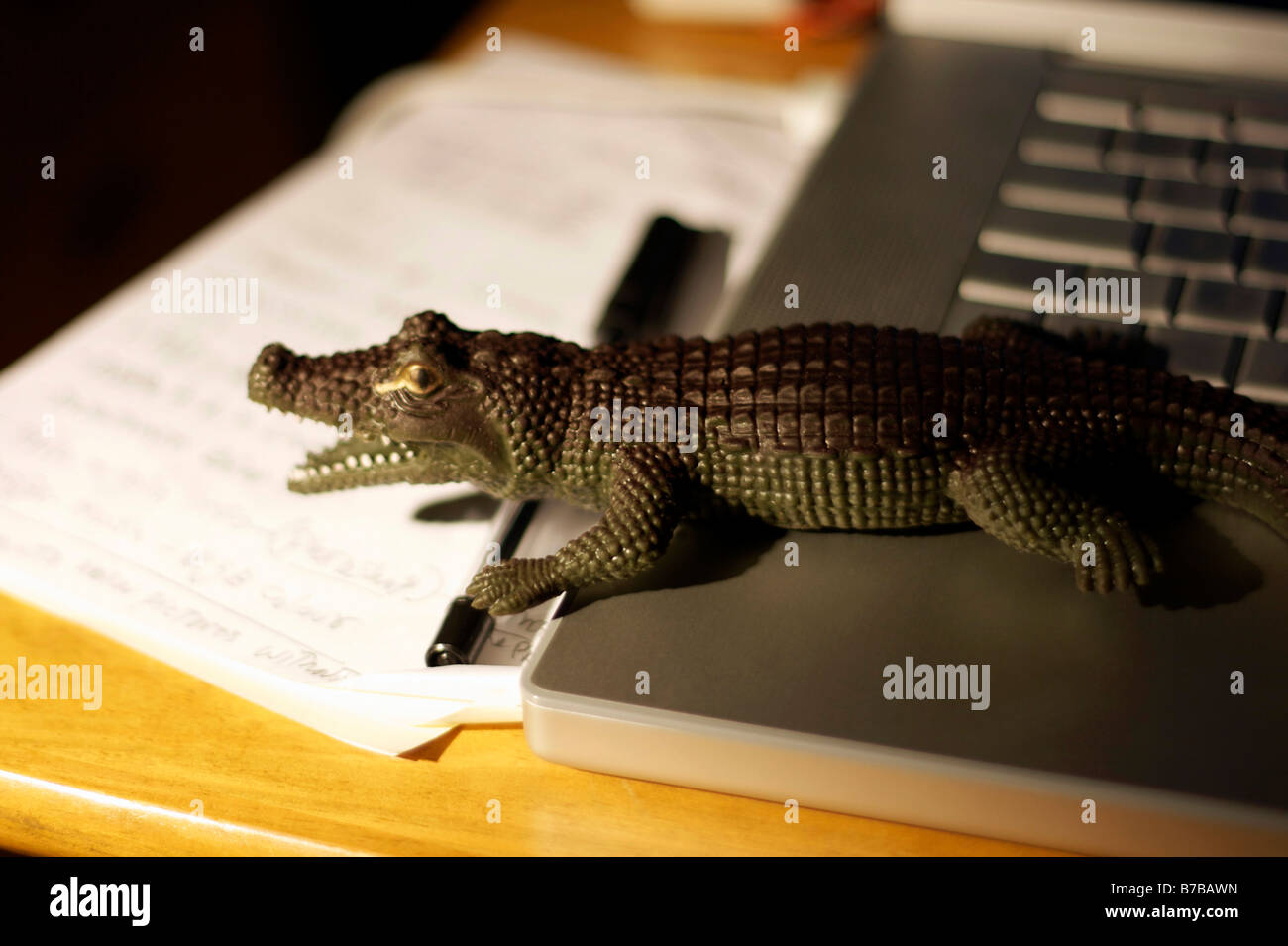 A toy crocodile on a laptop, London, England, UK Stock Photo - Alamy